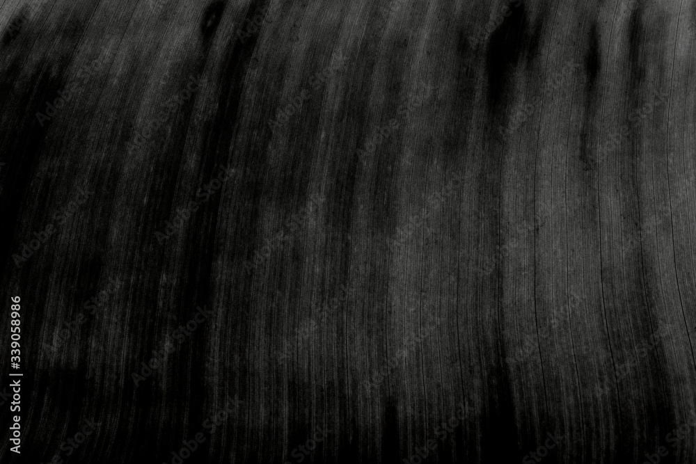 Leaf texture background Stock Photo | Adobe Stock