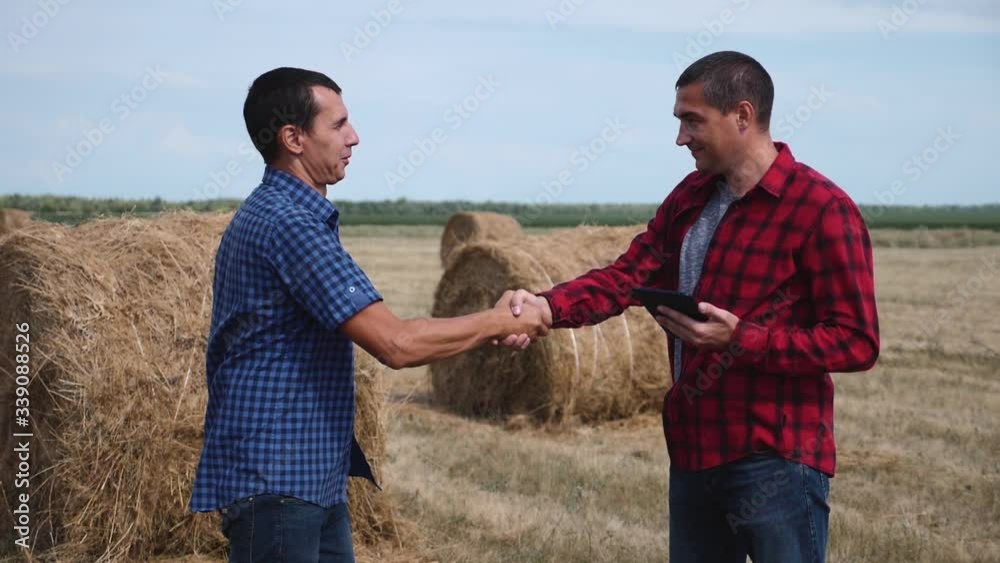 Teamwork. Two farmers study straw bales. Male agronomists in jeans and ...