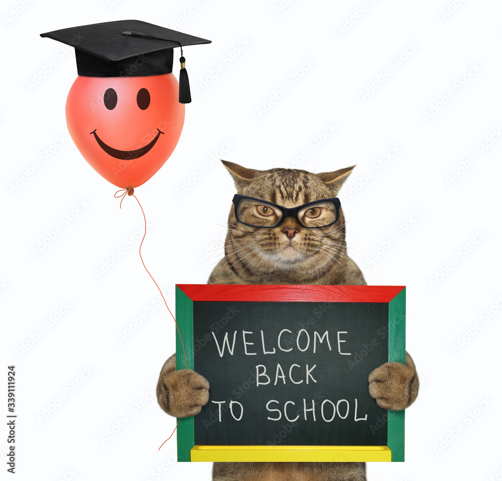 The beige cat in glasses is holding a red smiling balloon in a square ...