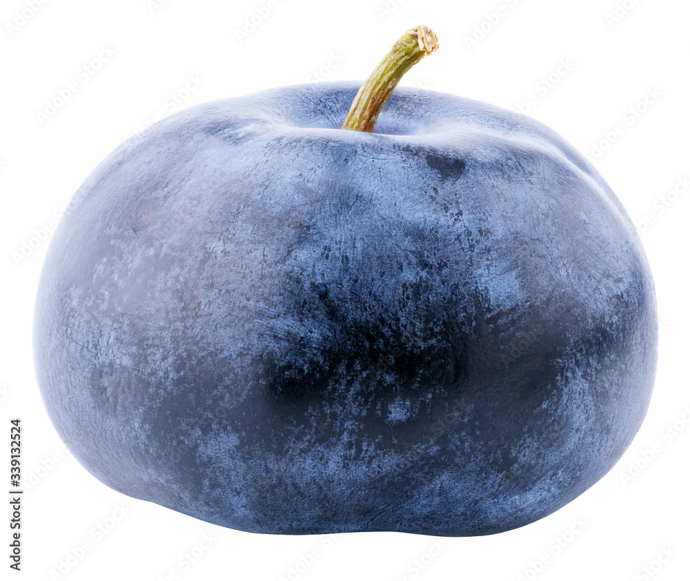 Single blueberry berry with stem isolated on white background ...
