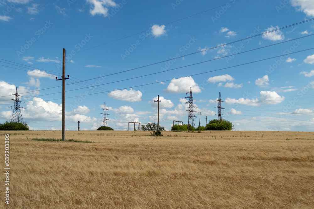 high voltage power lines and towers in a field of wheat under blue sky ...