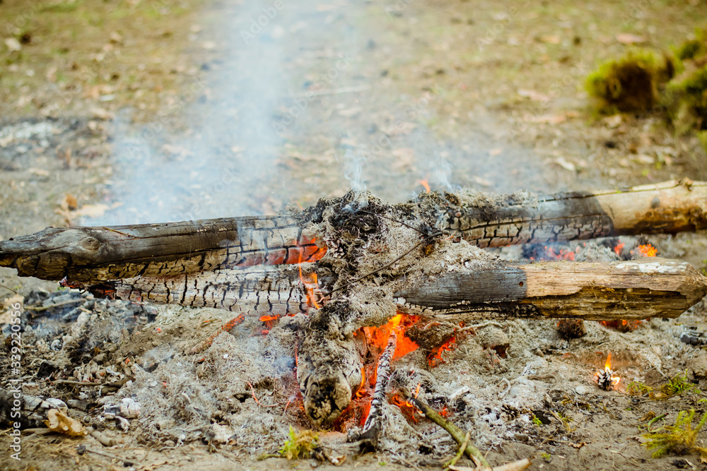 Burning fire. Smouldering coals. Burning fields. A huge fire burns ...