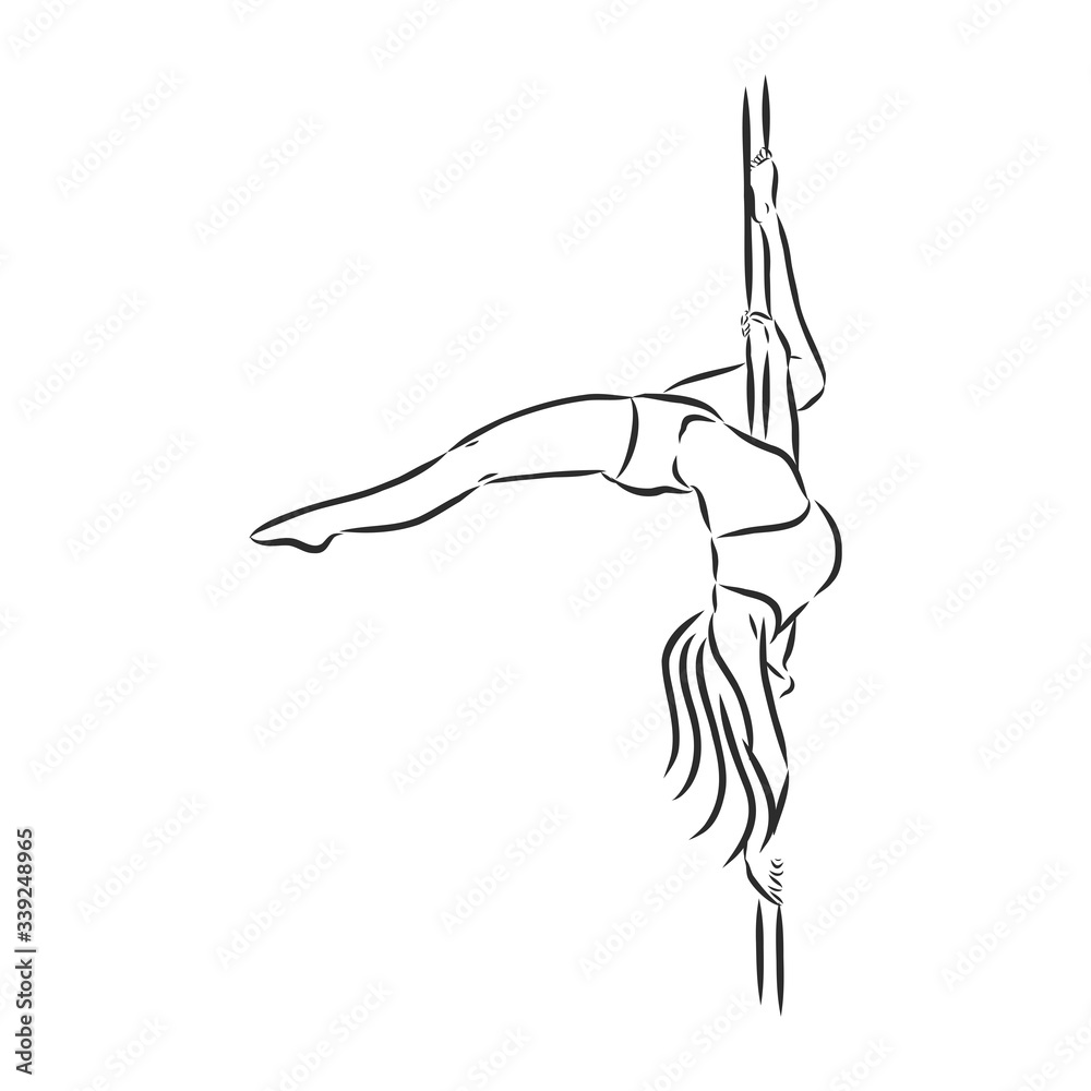 Pole dancer on the pole. Beautiful young woman on the pole. vector ...