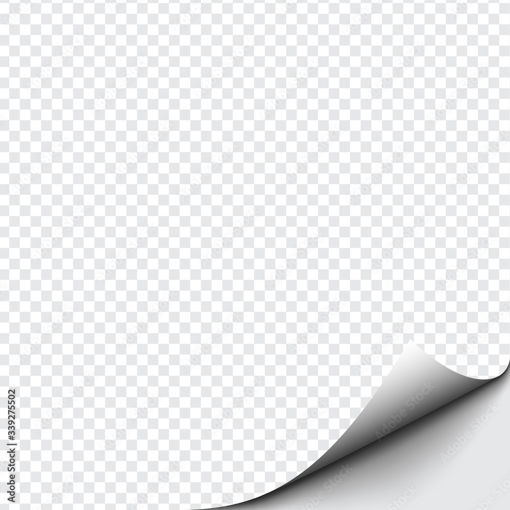 Curled corner of paper on transparent background with soft shadows ...