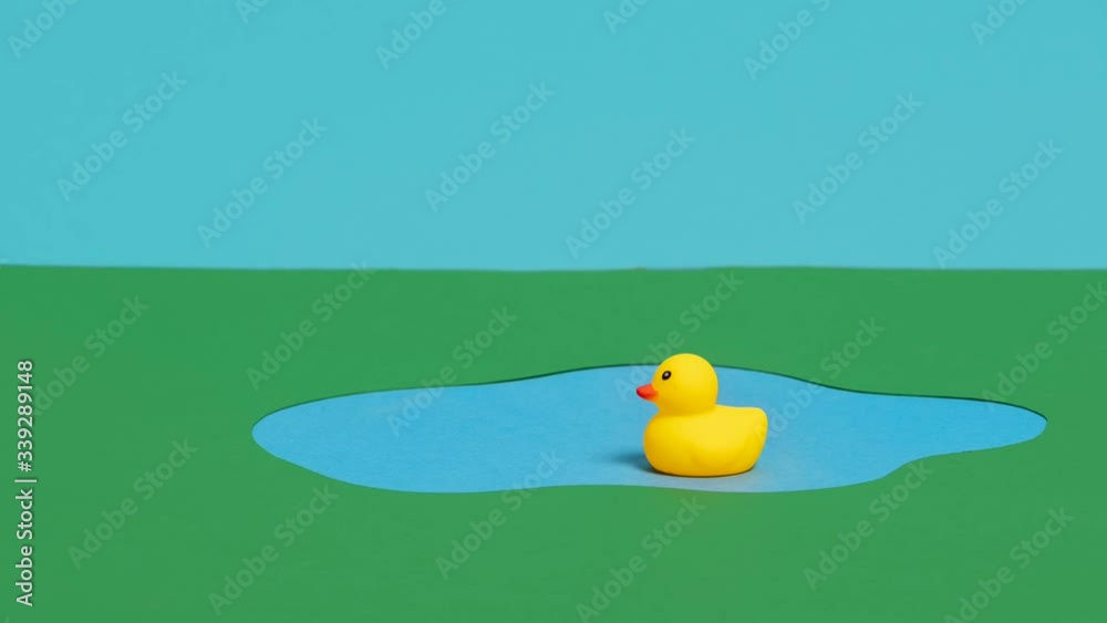 Stop motion animation of a single rubber duck ducky swimming in a pond ...