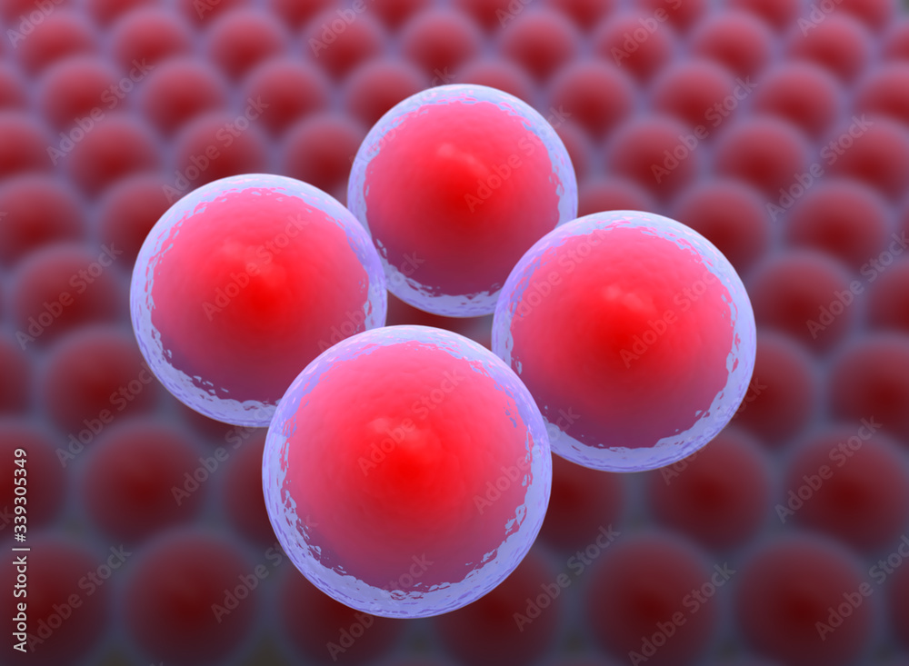 Cocci Shape of bacteria. its called tetrad. 3d stem cell. it is mature ...