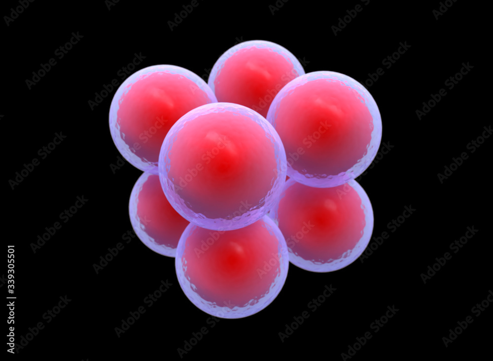 Cocci Shape of bacteria. its called sarcina. 3d stem cell. it is mature ...