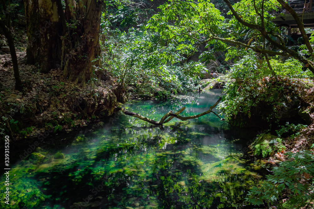 Río tranquilo de color turquesa y agua limpia en medio de manglares y ...