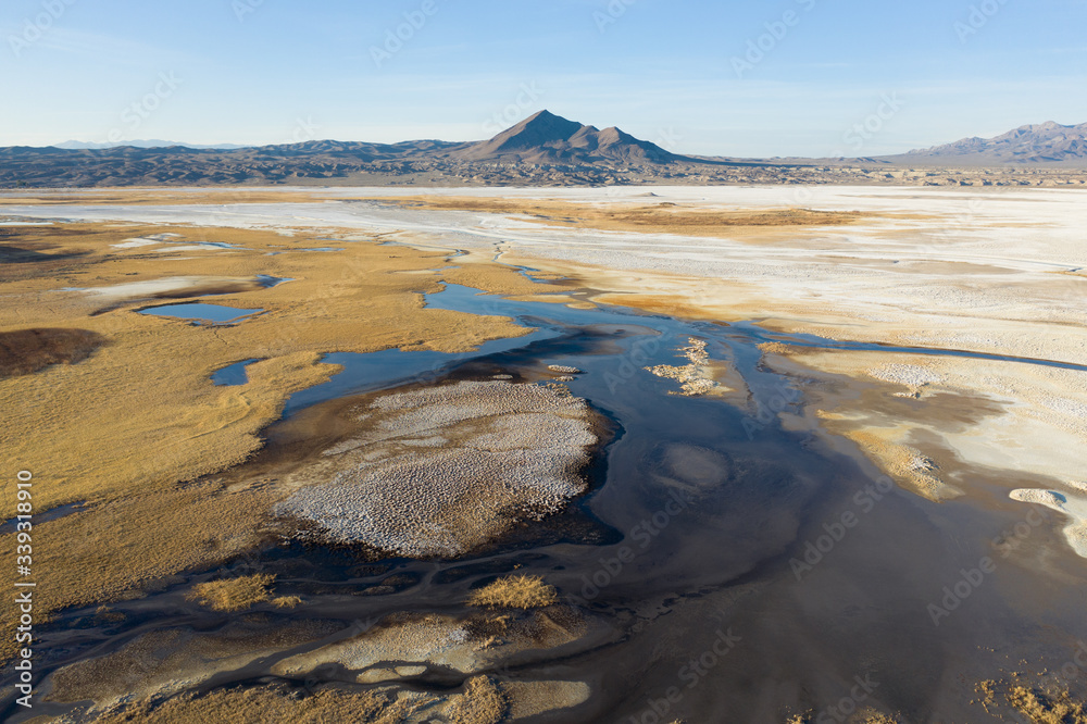 Puddle of alkaline water on Grimshaw Lake and Tecopa mountain along the ...