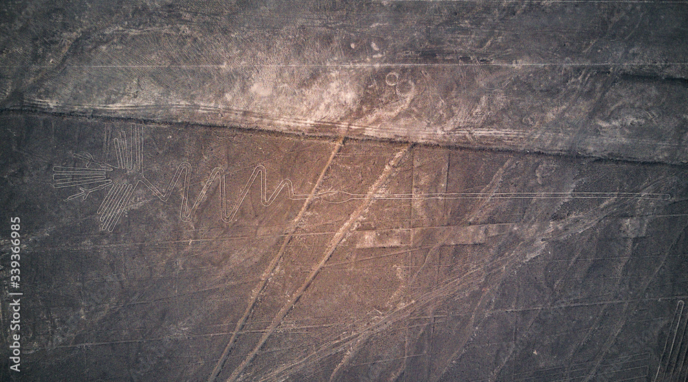 Aerial top down view on "the Heron" one of the Nazca lines . Mysterious ...