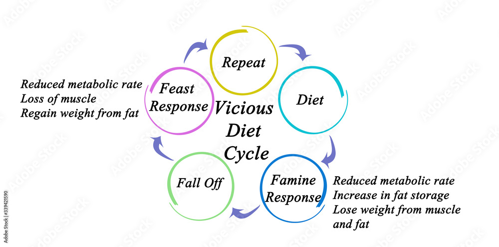 Steps in Vicious Diet Cycle Stock Illustration | Adobe Stock