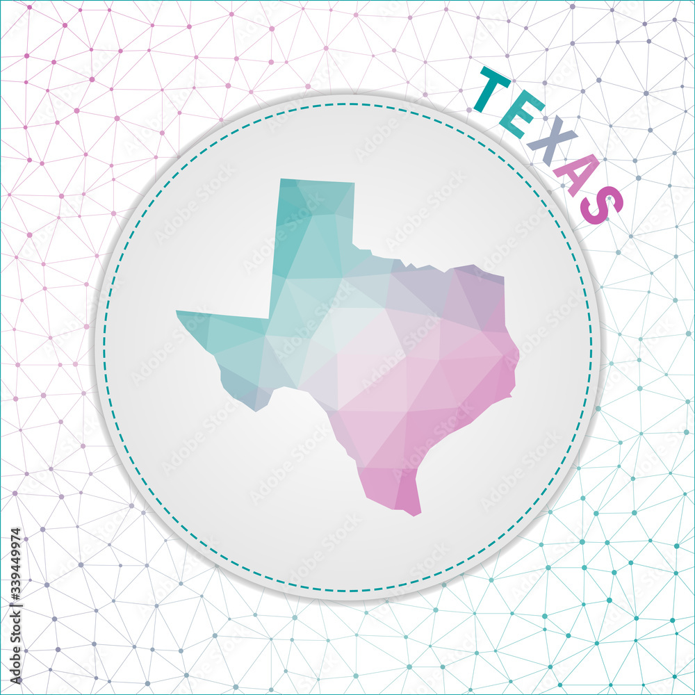 Vector polygonal Texas map. Map of the us state with network mesh ...