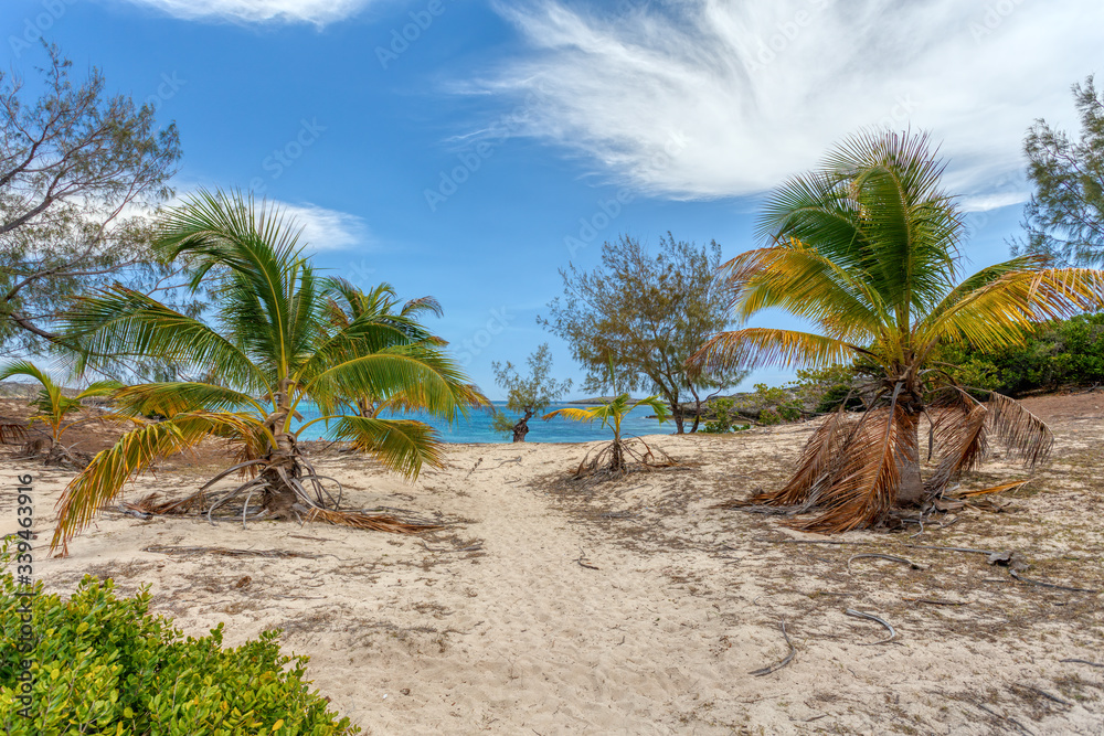 sand beach in Antsiranana with palms, Diego Suarez bay landscape ...