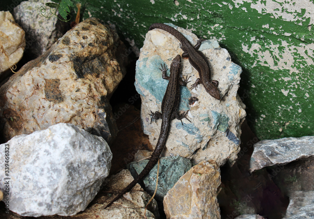 A chaotic pyramid of beautiful stones of different sizes and two ...