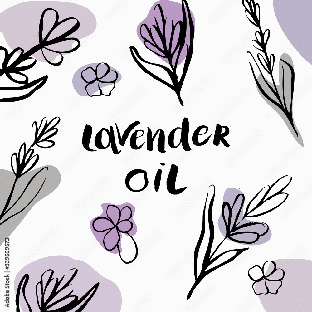 Vector packaging design elements and templates for lavender oil labels ...