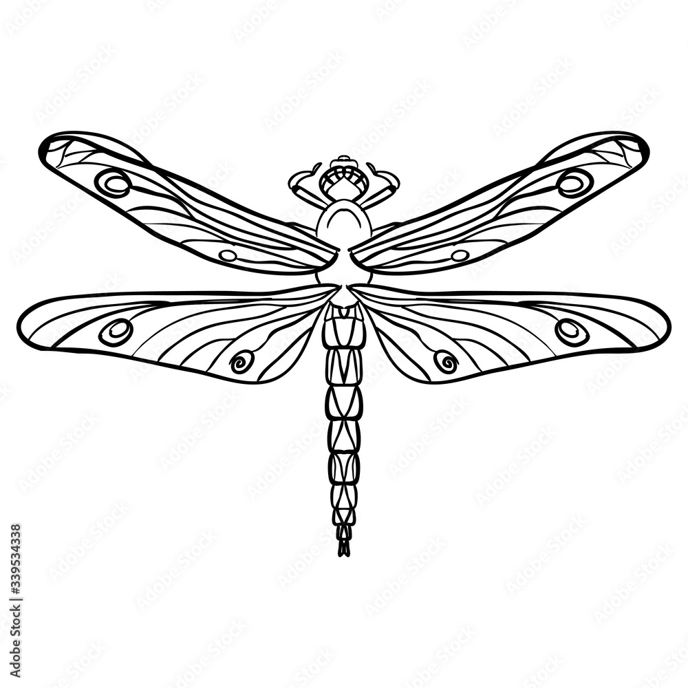 Dragonfly Designs