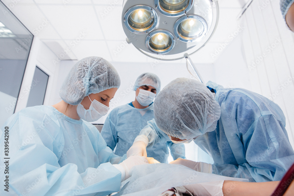 In a modern veterinary clinic, an operation is performed on an animal ...