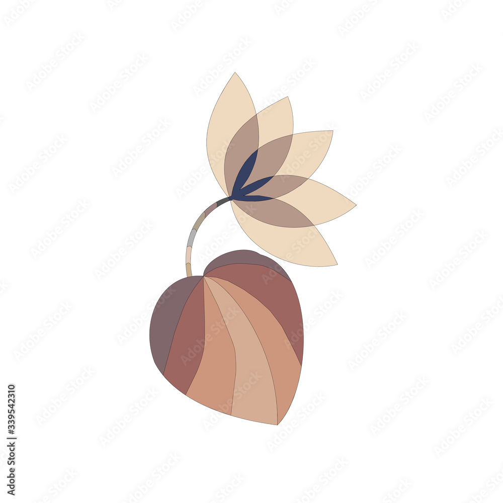 Pastel lotus and leaf on isolated white background for nature topic ...