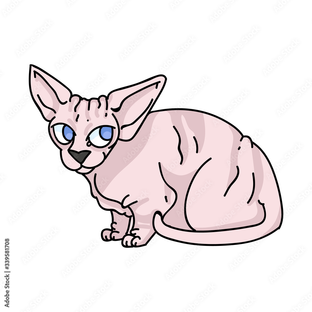 Cute cartoon sphynx kitten vector clipart. Pedigree exotic kitty breed ...