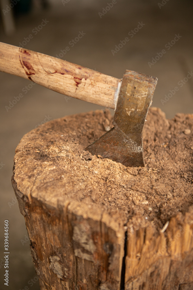 Old rustic ax in wood chopper with wooden blooded handle in rural ...