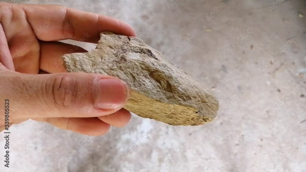 Shale stone in a hand. Shale is a fine-grained sedimentary rock ...