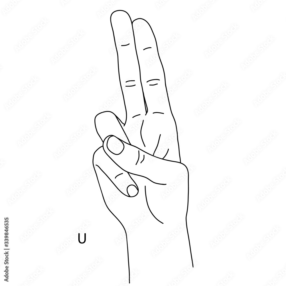 U is the twenty-first letter of the alphabet in sign language. Gesture ...