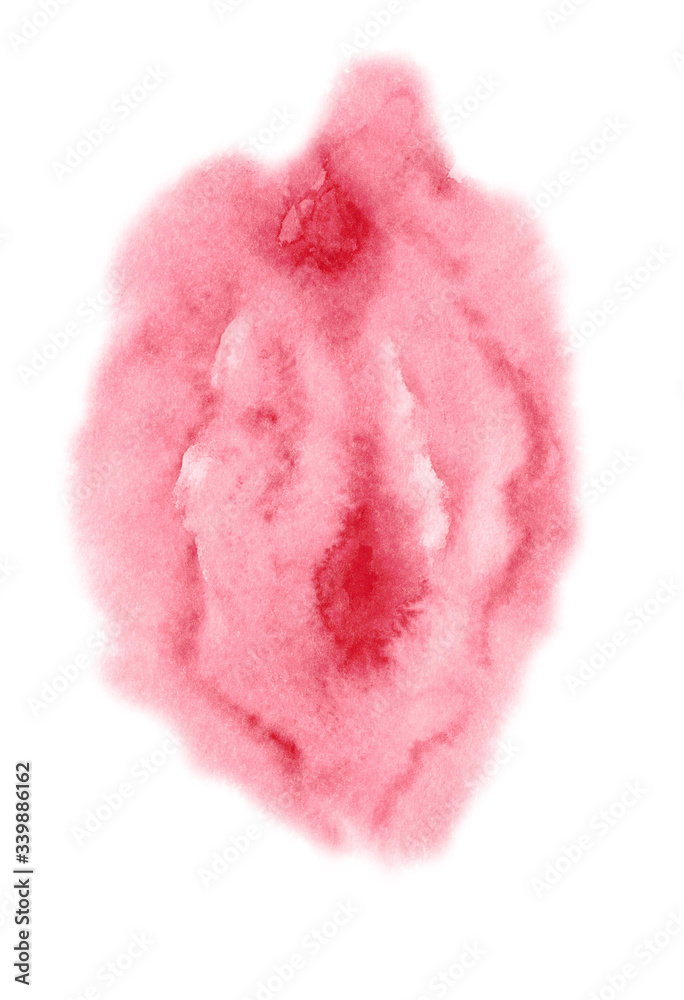 Vagina on a white background. Female genitals are beautifully painted ...