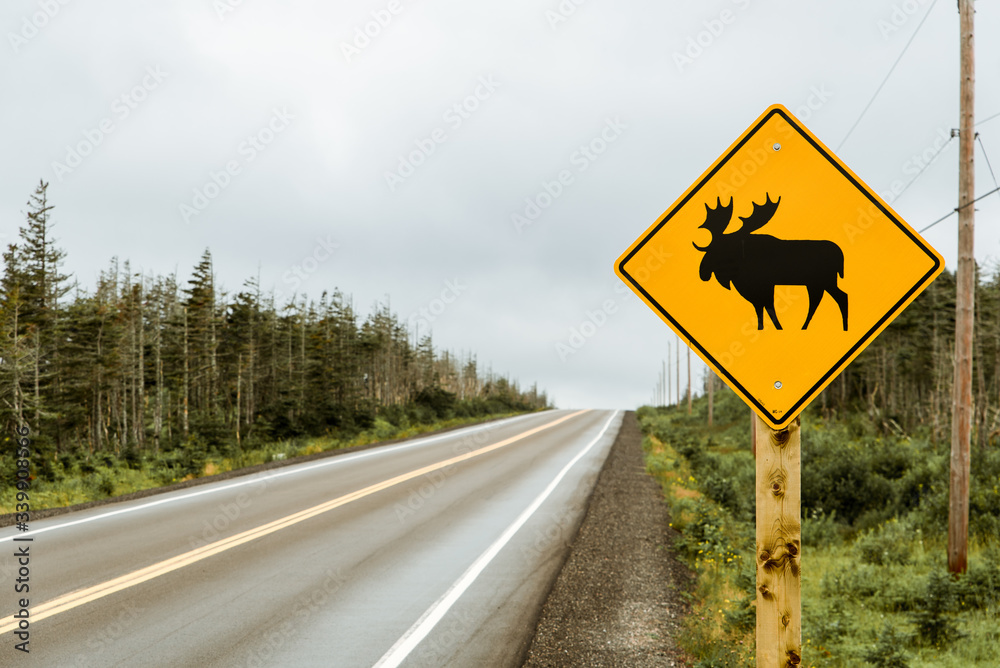 Beware of moose road sign in Cape Breton Highlands National Park, Nova ...