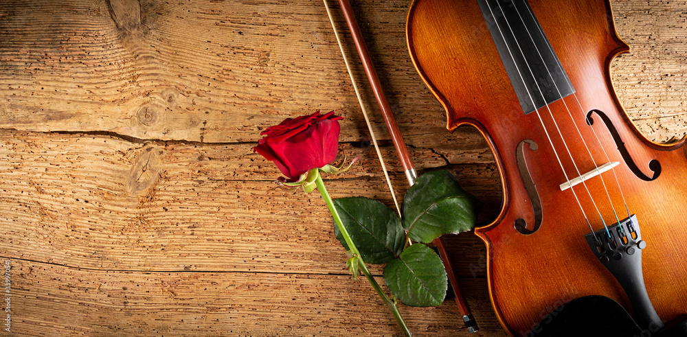 classic retro violin music string instrumt with red rose flower old oak ...