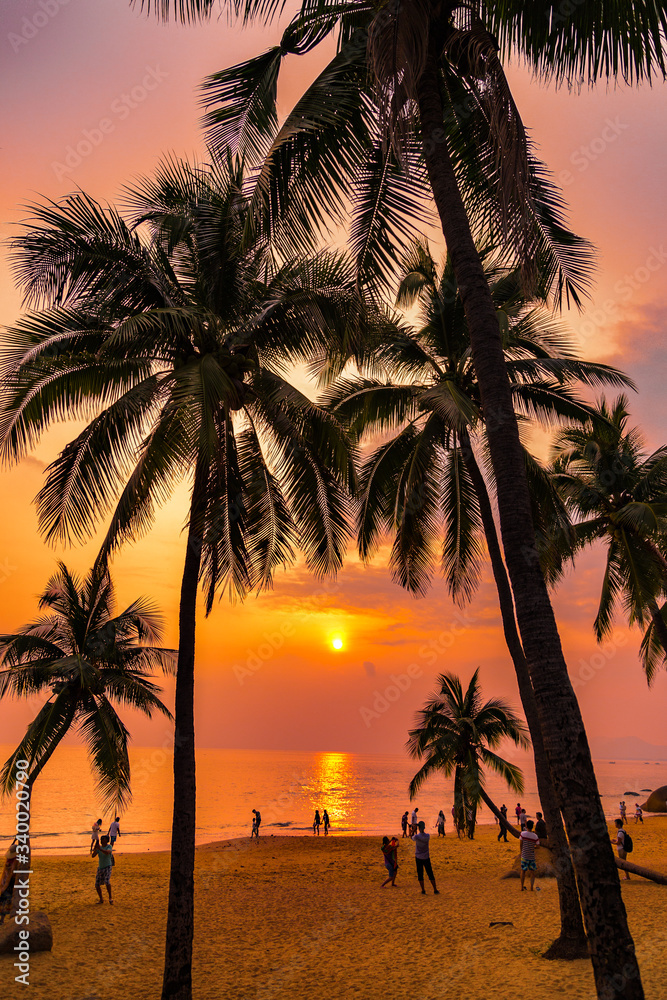 Sunset coconut Stock Photo | Adobe Stock