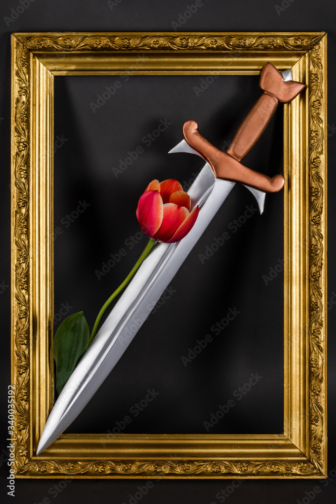Single red tulip flower and steel sword with a bronze hilt in a golden ...
