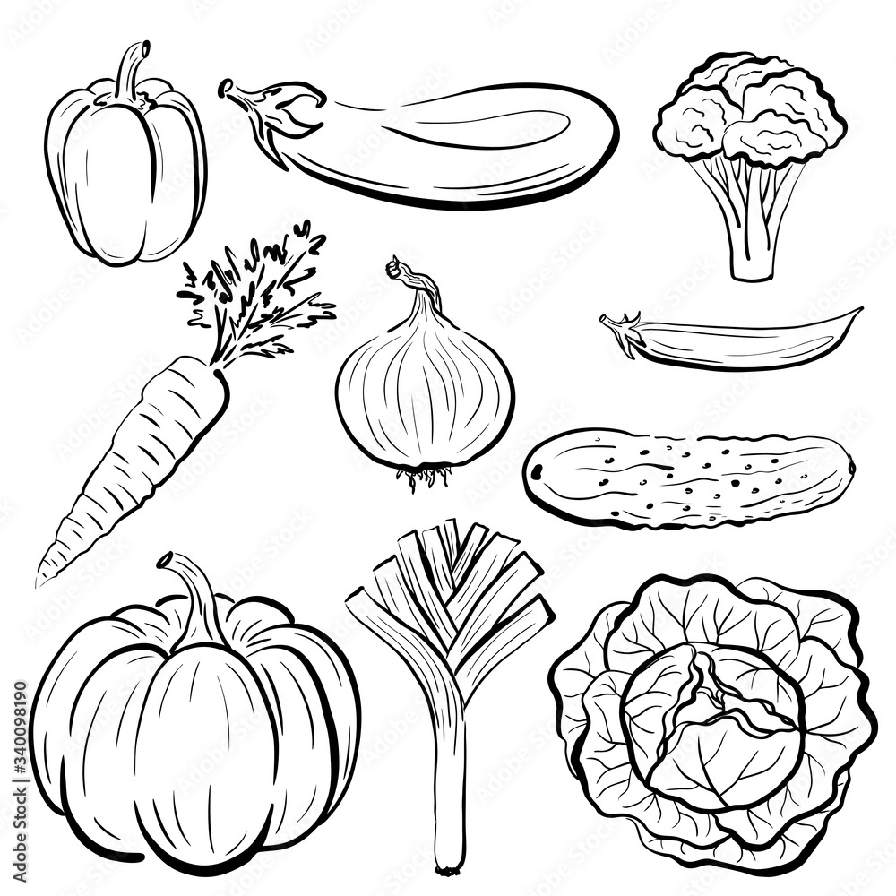 Hand drawn set of vegetables. Broccoli, cabbage, carrot, cucumber ...