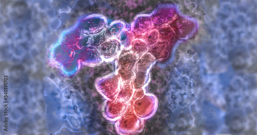 antibody SARS COV-2 immune response, immunotherapy concept with ...