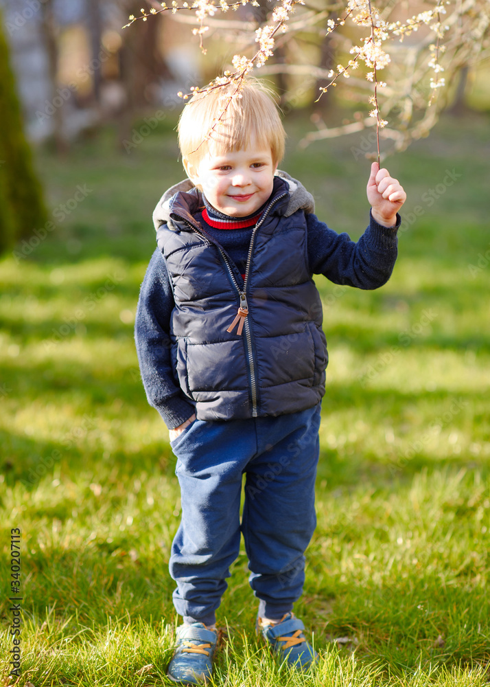 portrait of little model boy in nature Stock Photo | Adobe Stock