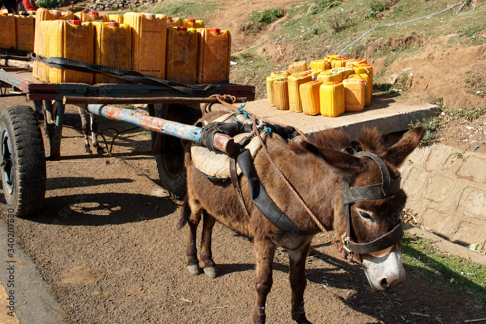Donkey Cart with Yellow Water Canisters Stock Photo | Adobe Stock