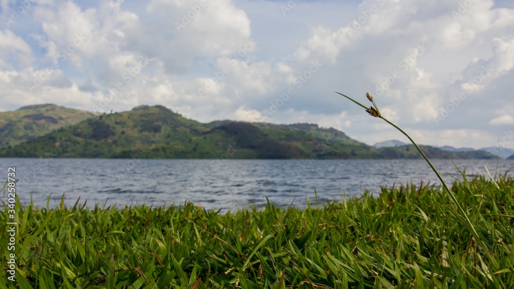 Paisajes de la selva y sabana africana durante un safari Stock Photo ...