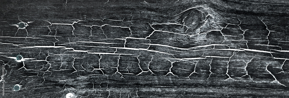 Rustic black and white wood negative texture with rough knots and ...