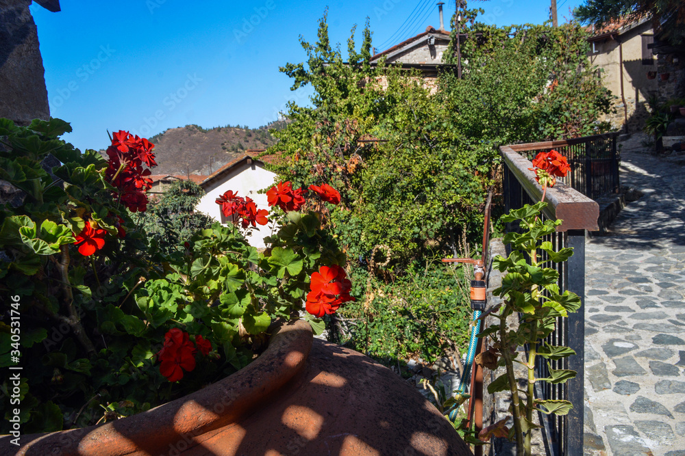 Red flowers in a clay pot on the medieval street of the village of ...