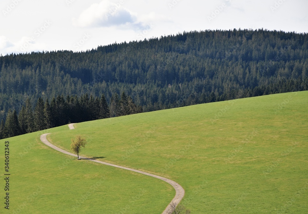 Foto de Bergwiese, Wiese, Bergweide, Gebirge, Weg, Feldweg, Kurven ...