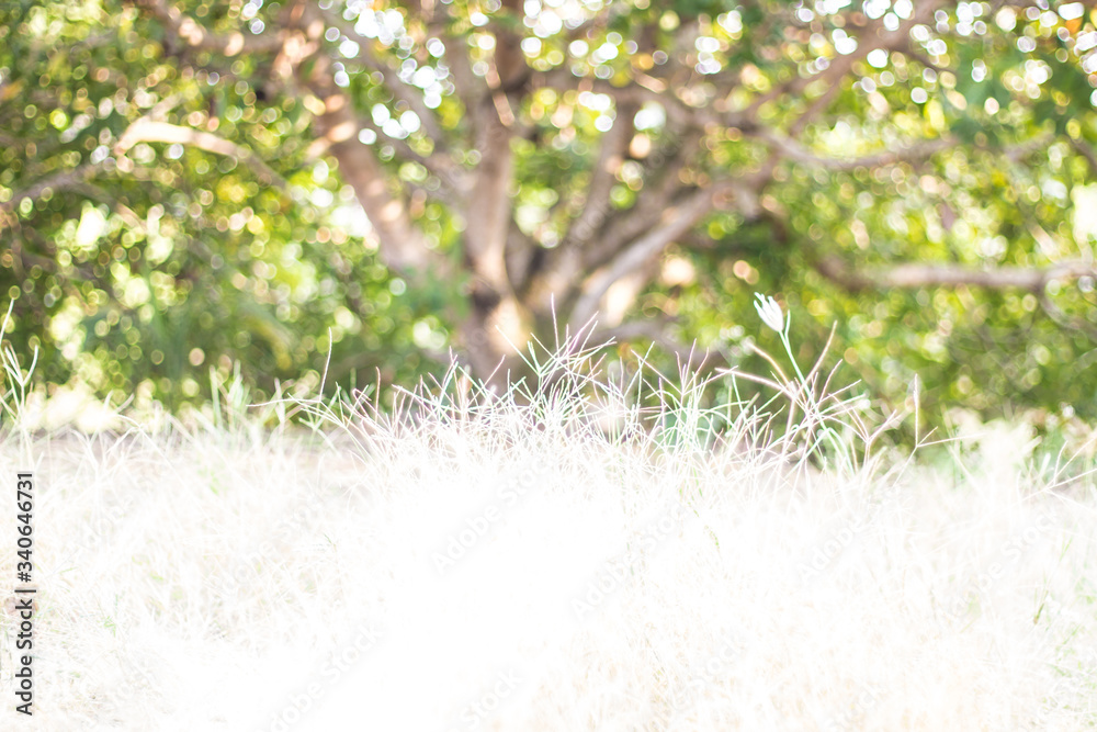 background Stock Photo | Adobe Stock