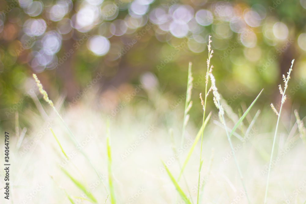 background Stock Photo | Adobe Stock