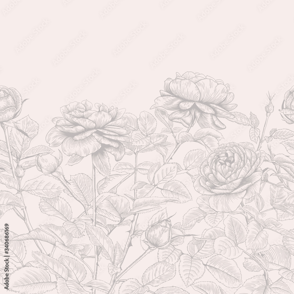 Vintage seamless border with roses. Botanical vector illustration. Grey ...