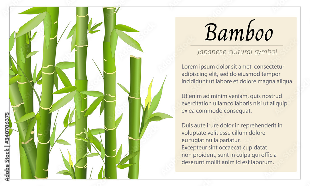 Japanese banner for text with bamboo. Vector illustration in a flat ...