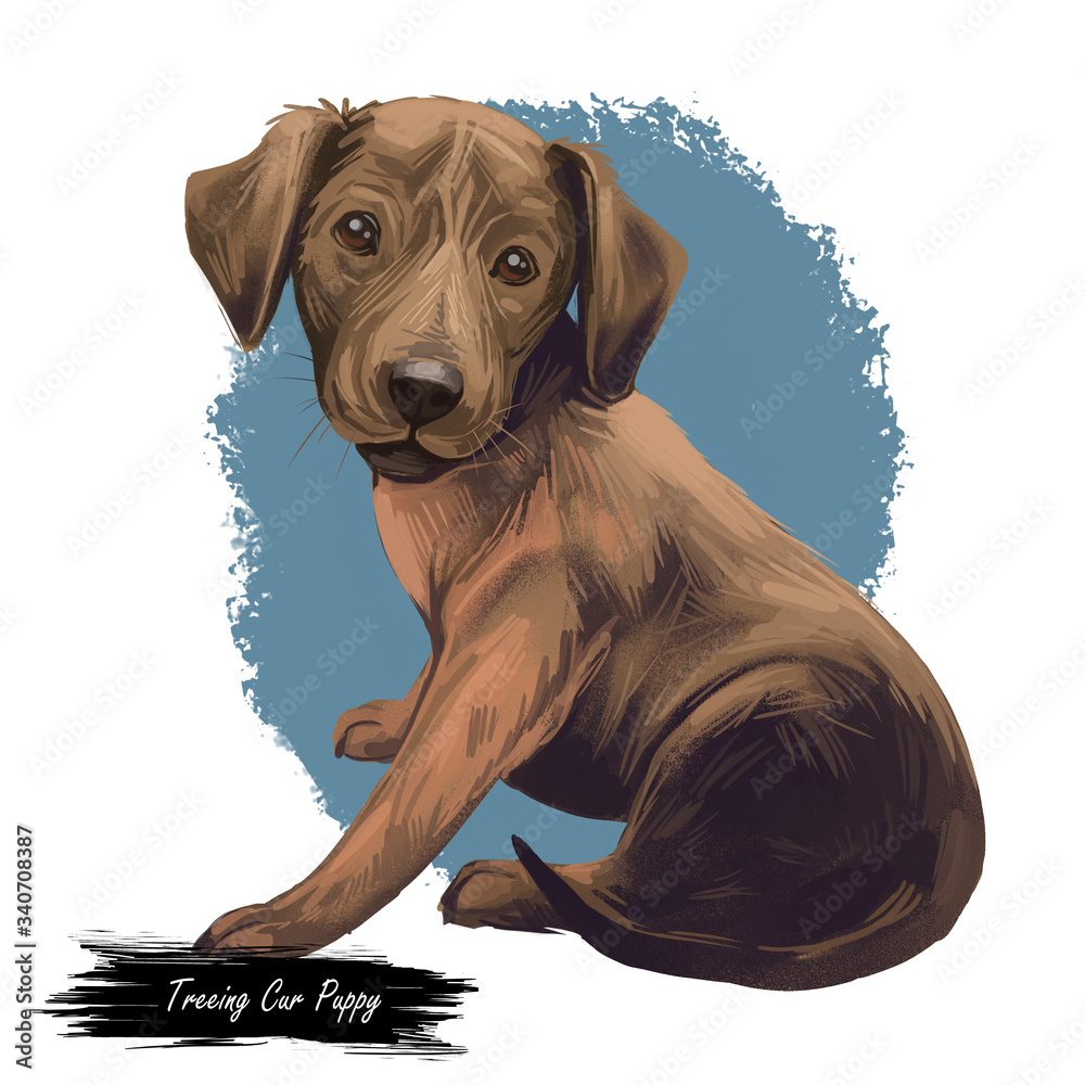 Treeing cur dog isolated digital art illustration. Hand drawn dog ...