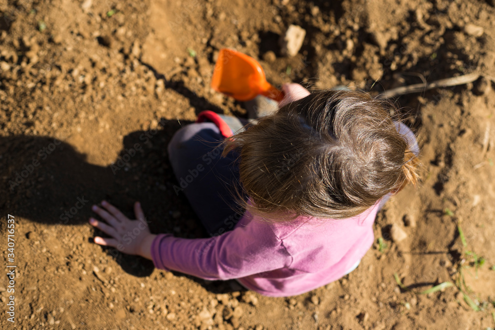 Little child girl digging soil with a scoop in the garden during covid ...