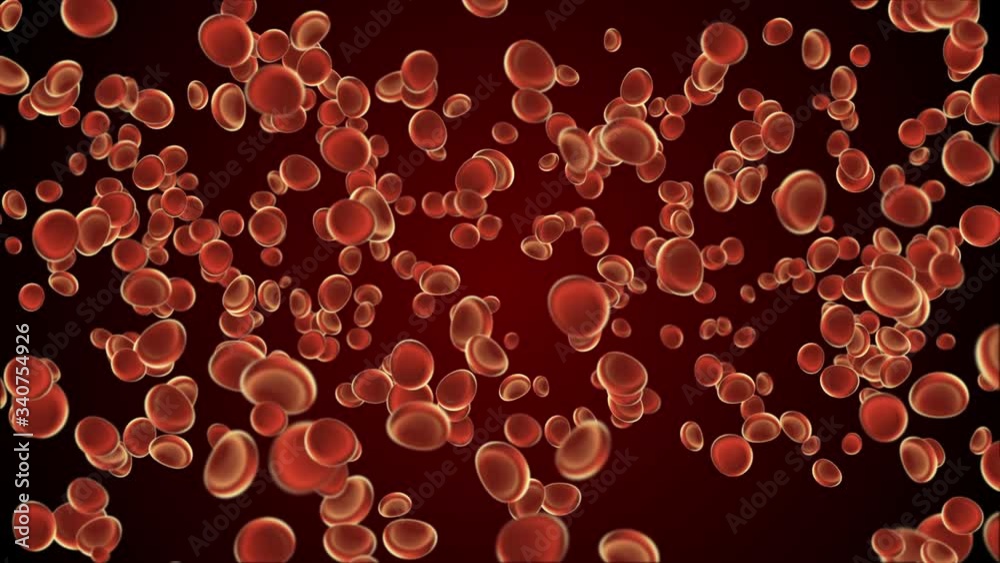The circulatory system of red blood cells moves in the bloodstream ...