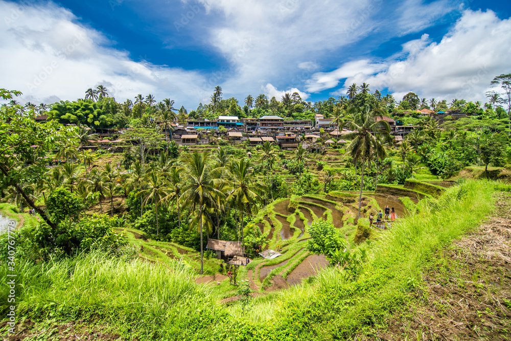 Tegallalang, Bali - February, 2020: Near the cultural village of Ubud ...