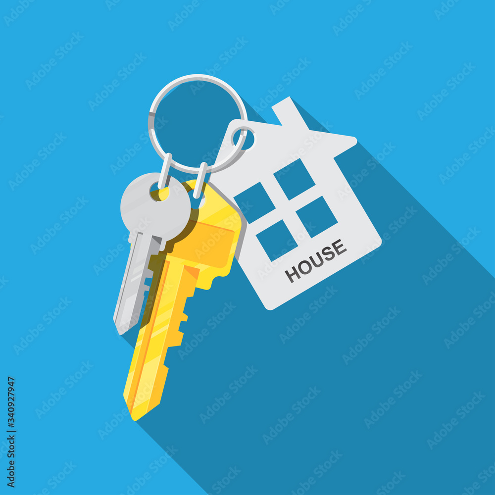 House keys with house shaped keychain isolated on background vector ...