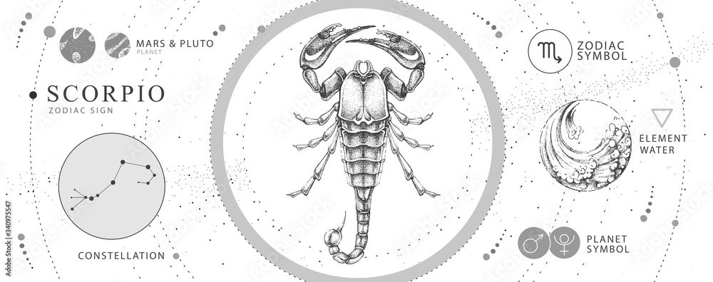 Modern magic witchcraft card with astrology Scorpio zodiac sign ...