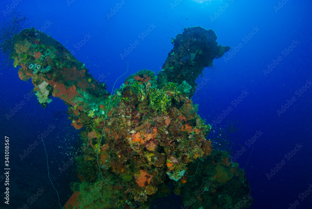 The impressive propeller of the sunken ship Heian Maru. This vessel was ...